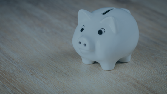 Article: The Financial Pig – Brave Publicity Ink!
